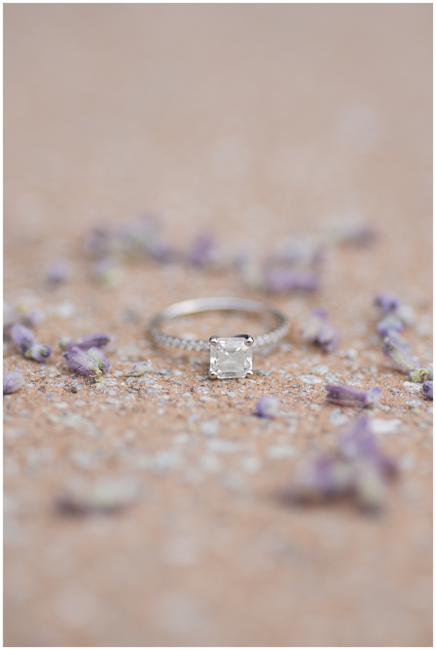 A Romare Bearden Engagement Session | Mike + Tracy - Alexandra Blackmon ...